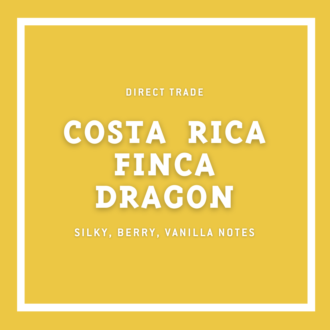 Costa Rica Finca Dragon | Red Cedar Coffee Co.